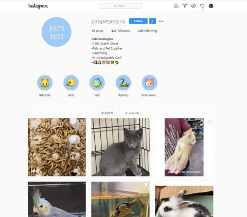 Cats, Dogs, Birds, Reptiles, Fish - Pat's Pets & Supplies Ltd. | Regina SK